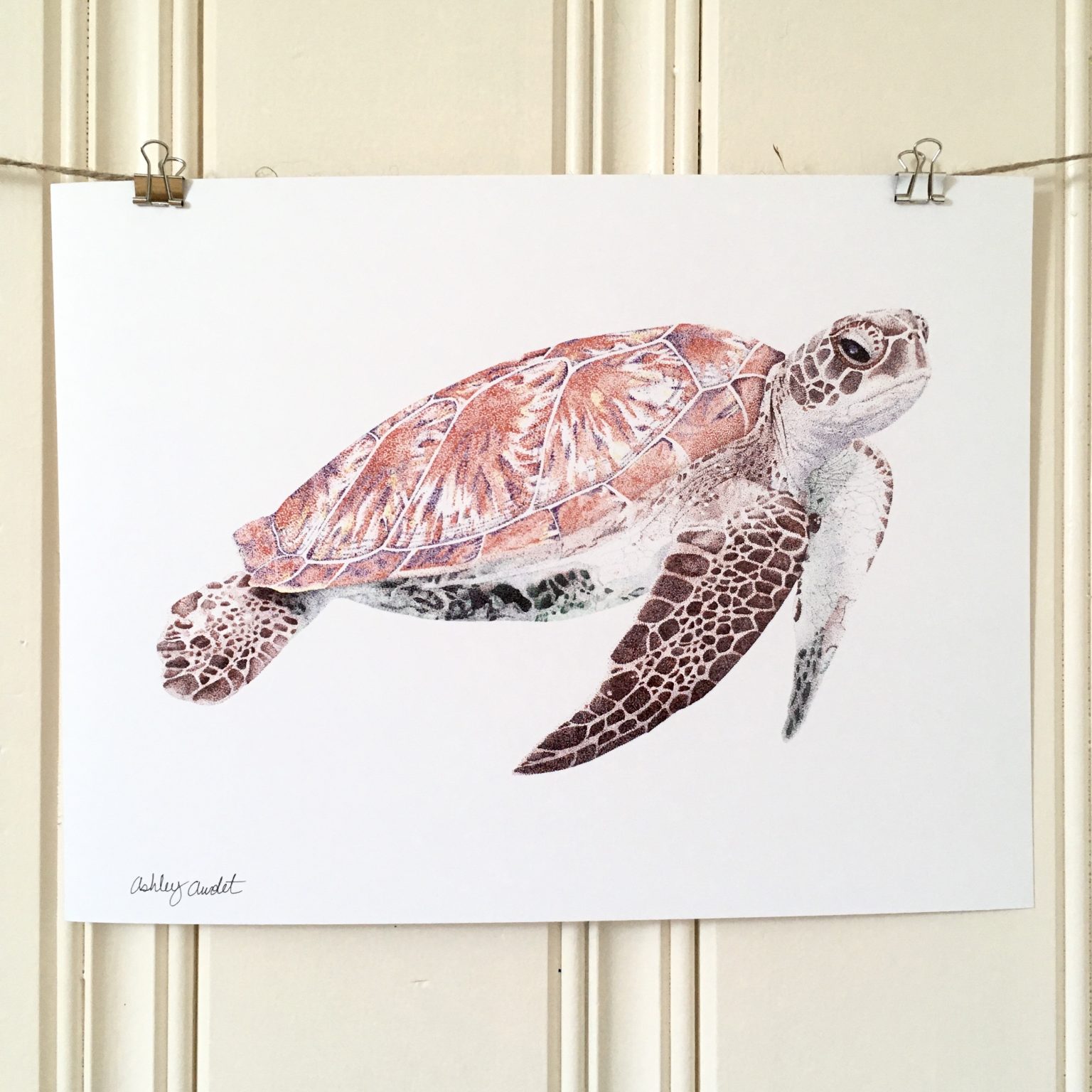 A Door Unlocked | Full Color Pointillism Sea Turtle 9"x12" Print